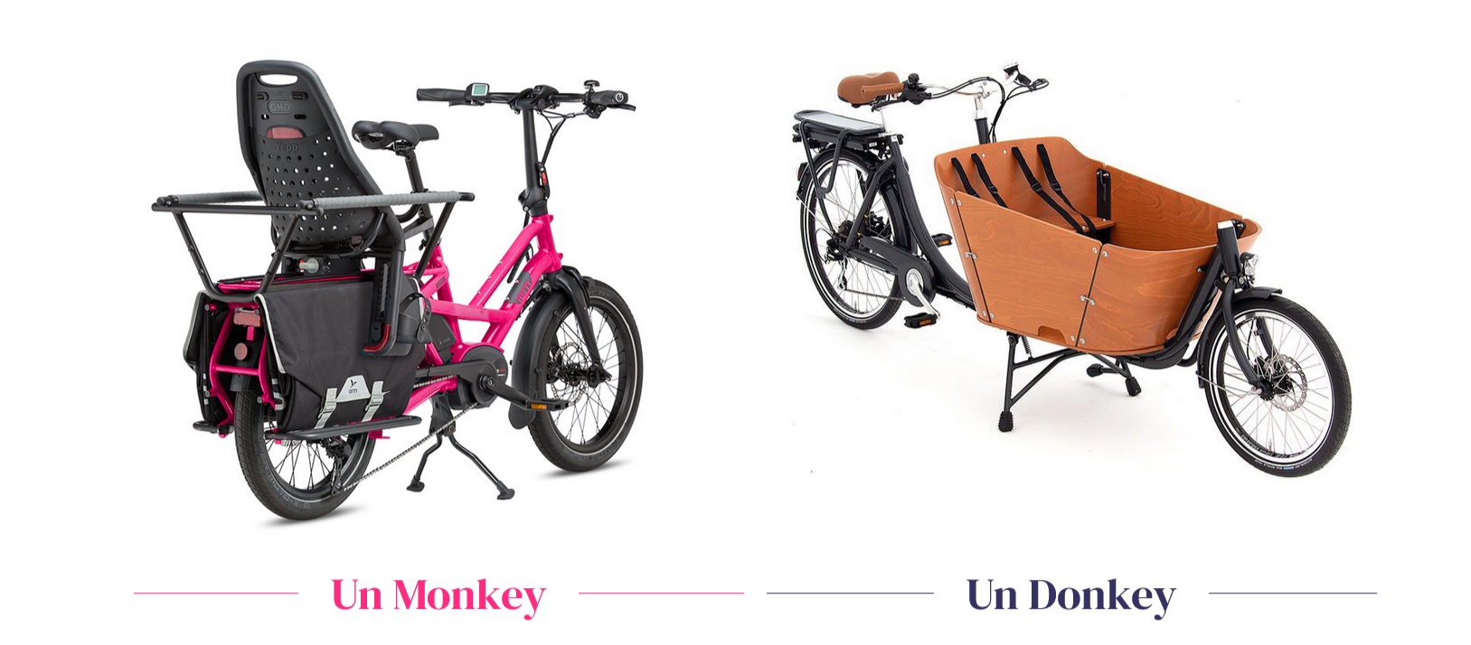 Locations long terme - Monkey Donkey